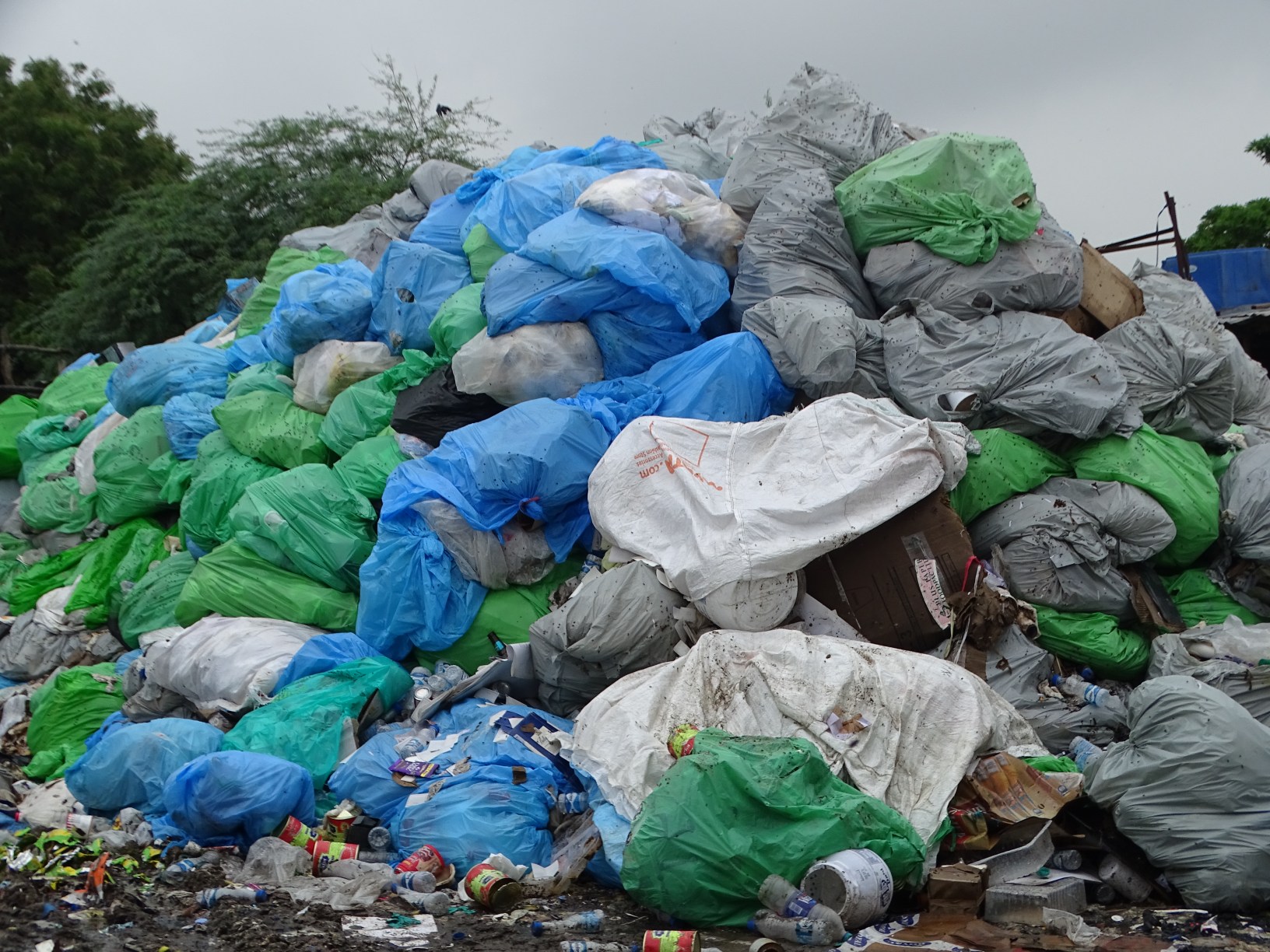 Poem| Plastic Waste – A Harsh Reality – Waste Frames